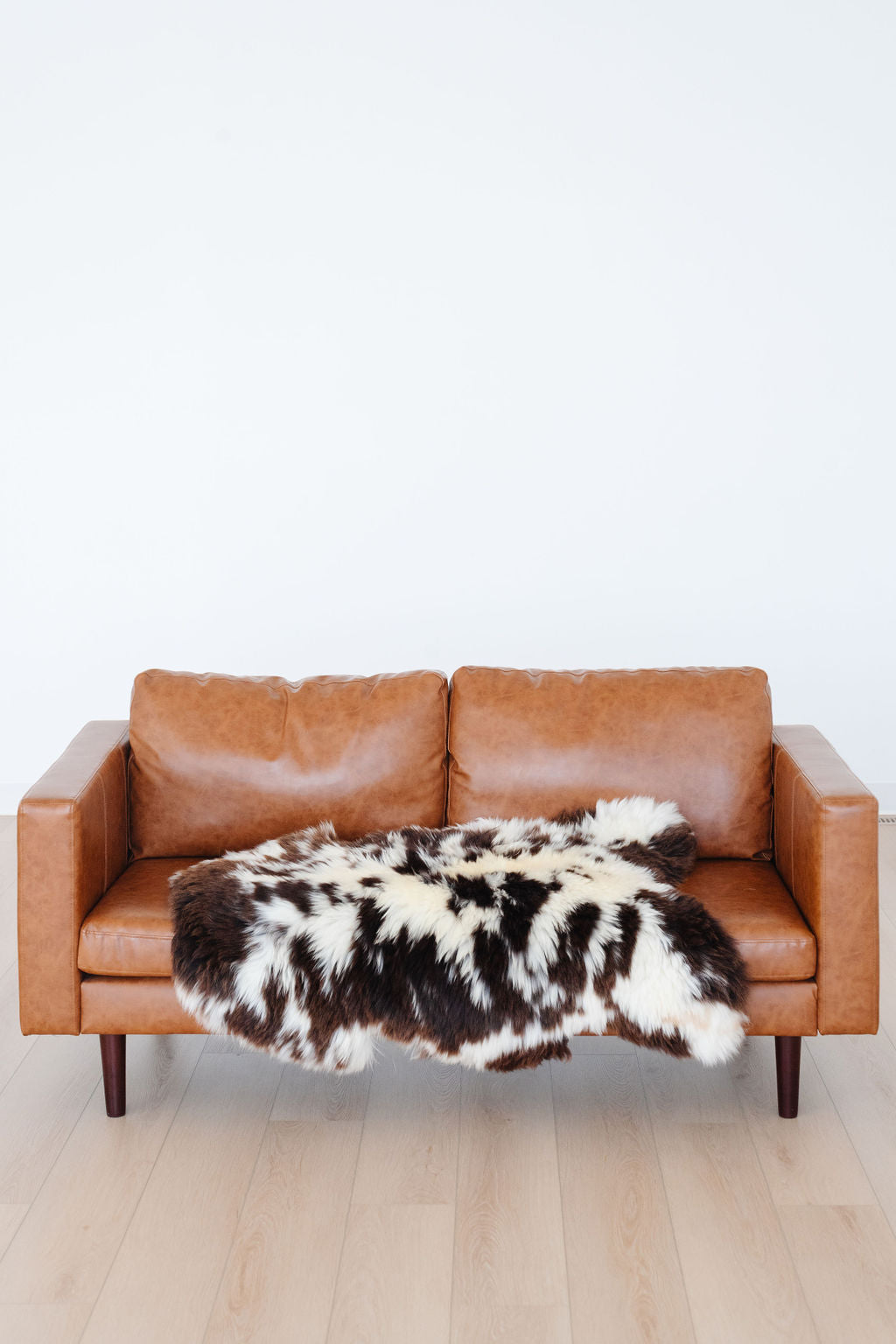 Unique Welsh Sheepskins – Black Sheep (White Light)