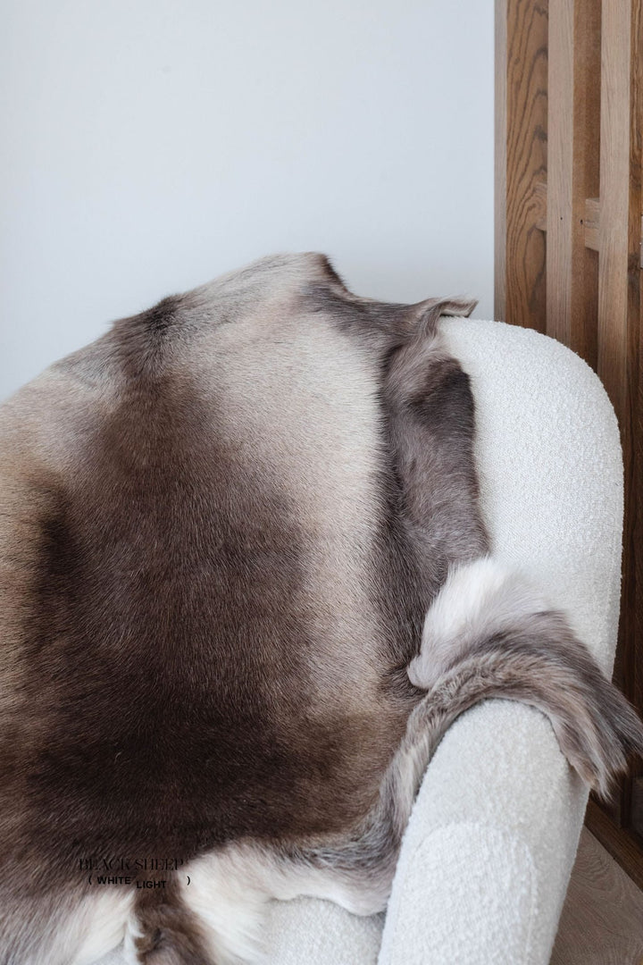 Finnish Reindeer Hides – Black Sheep (White Light)
