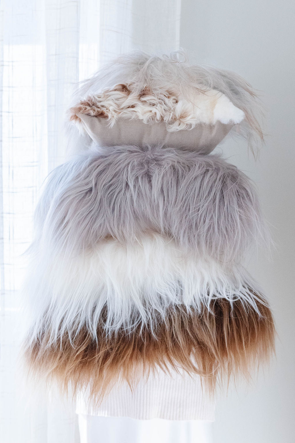 Unique Welsh Sheepskins – Black Sheep (White Light)